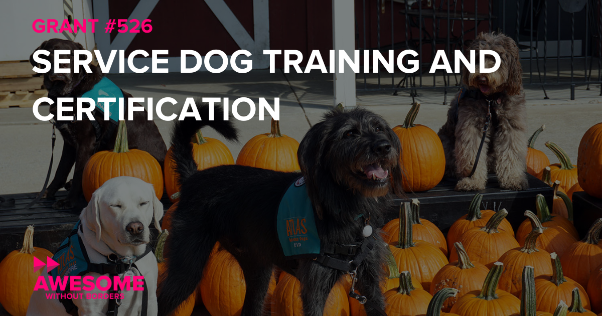 Service Dog Training and Certification - Awesome Without Borders
